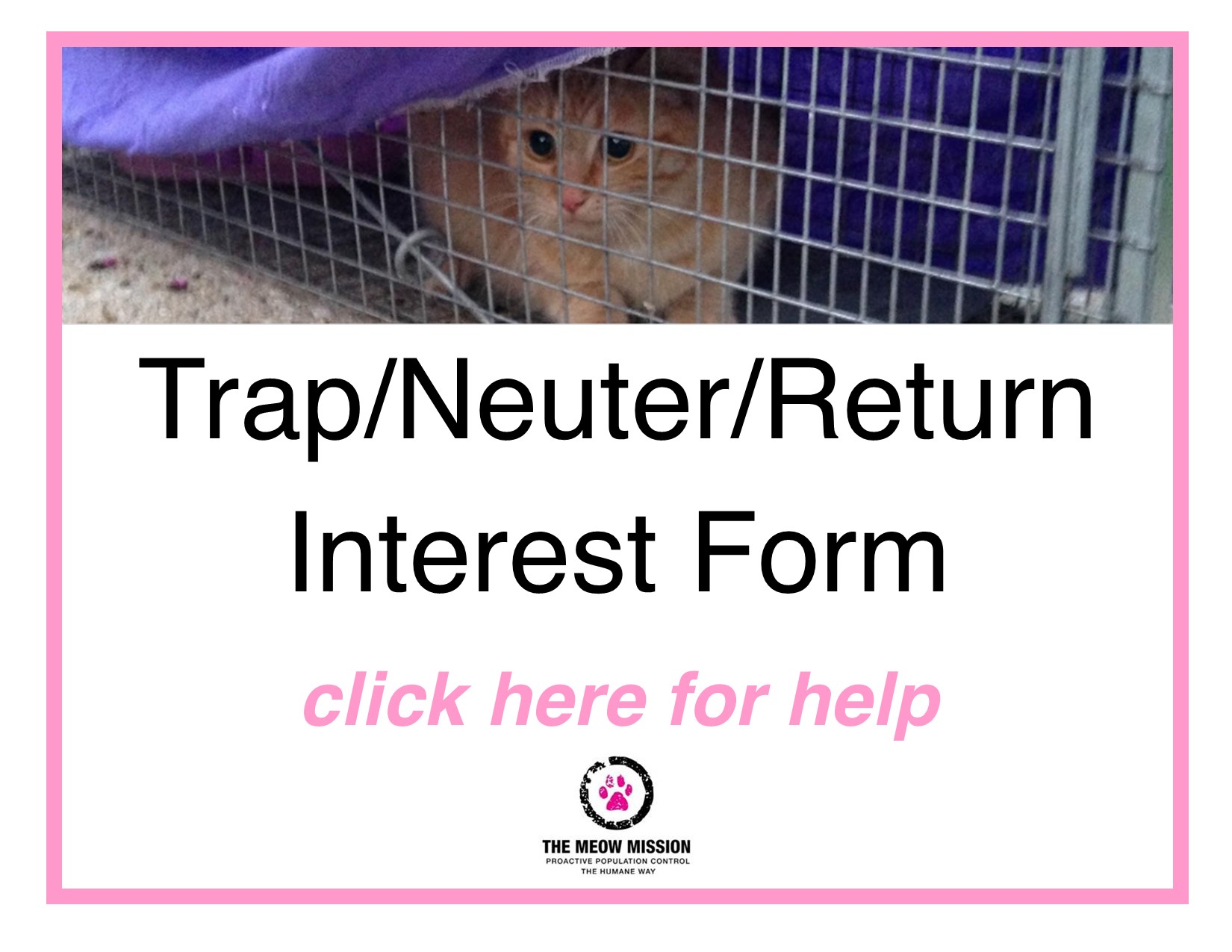 The Meow Mission | Proactive Population Control. The Humane Way.